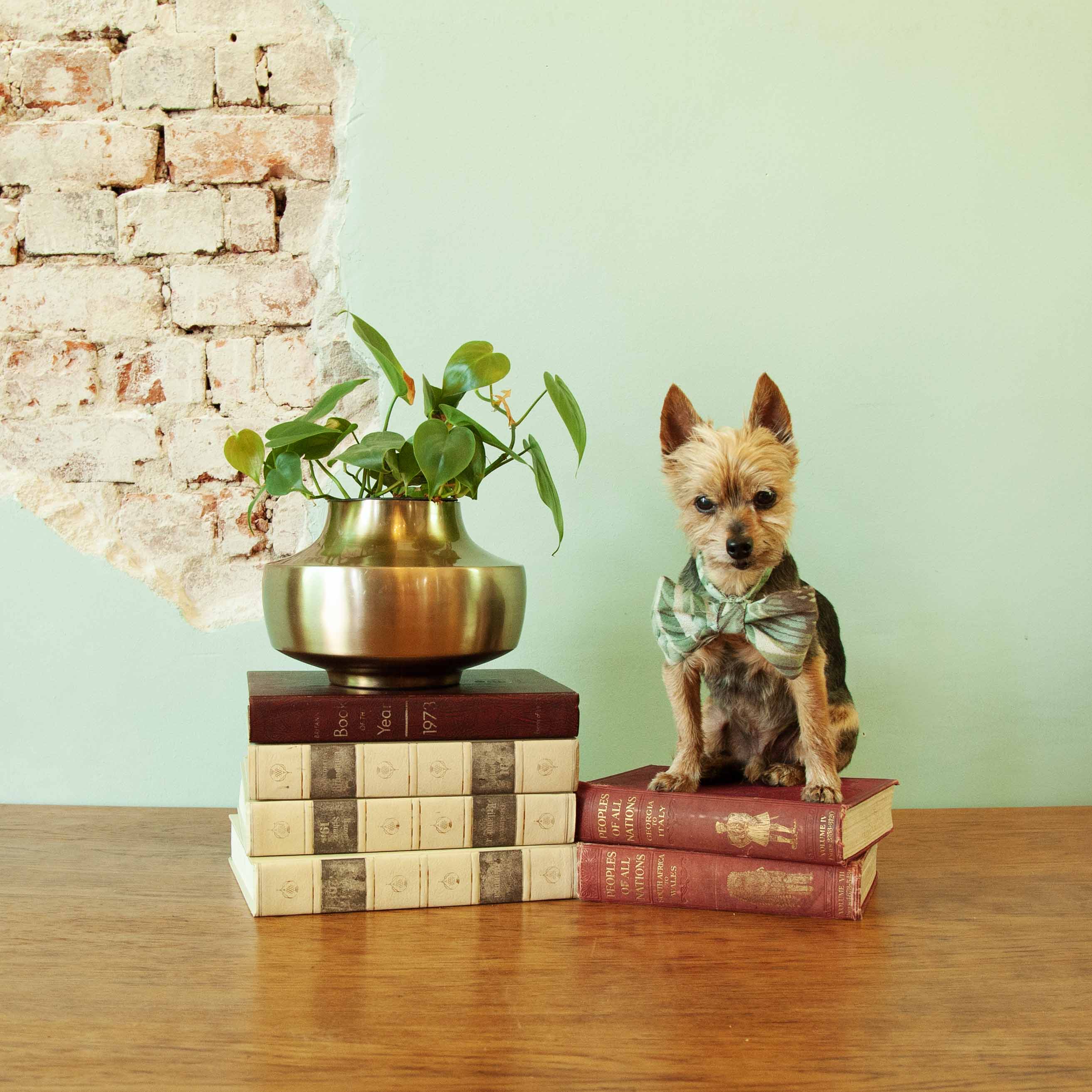 Home decor – Teddy's Room