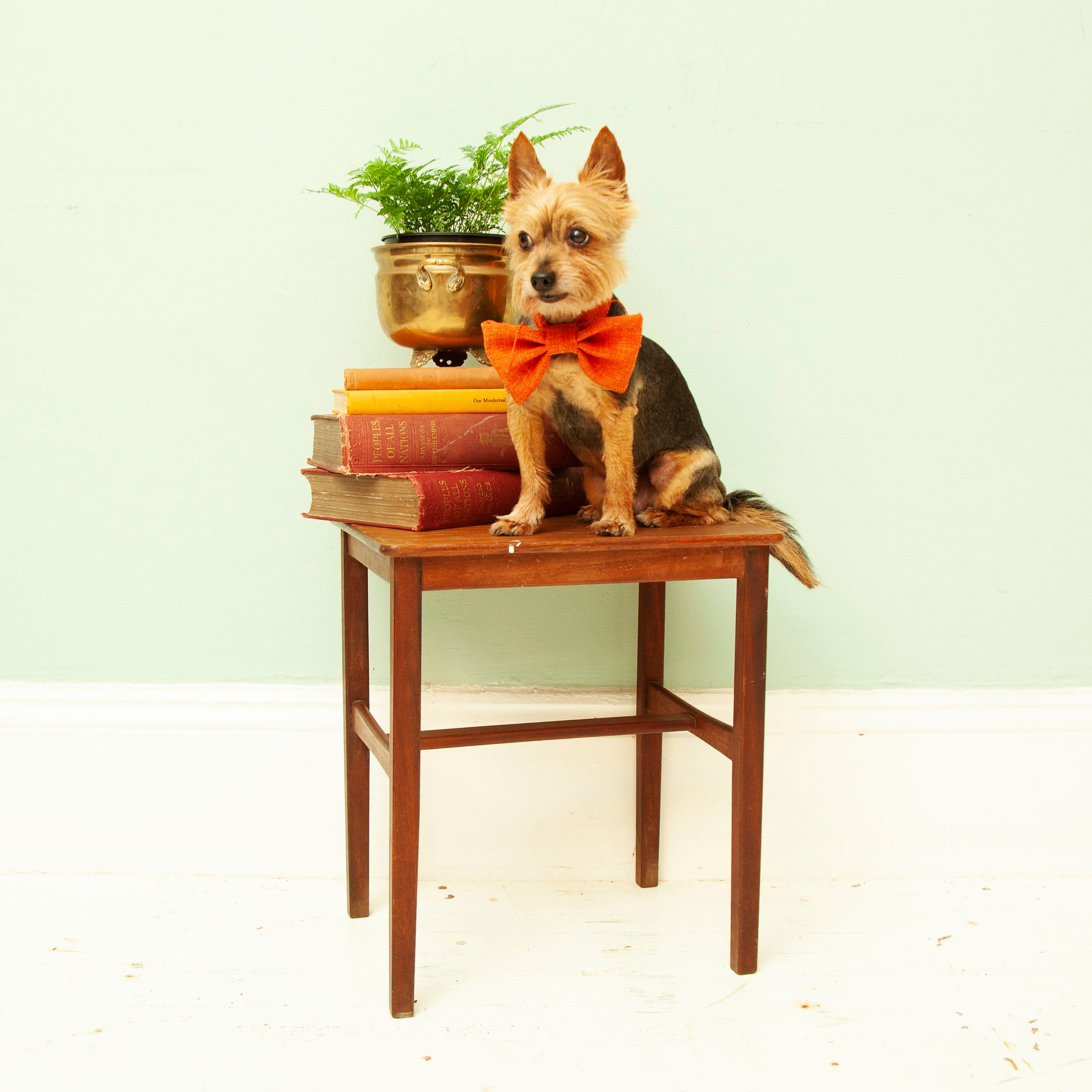 Side tables – Teddy's Room