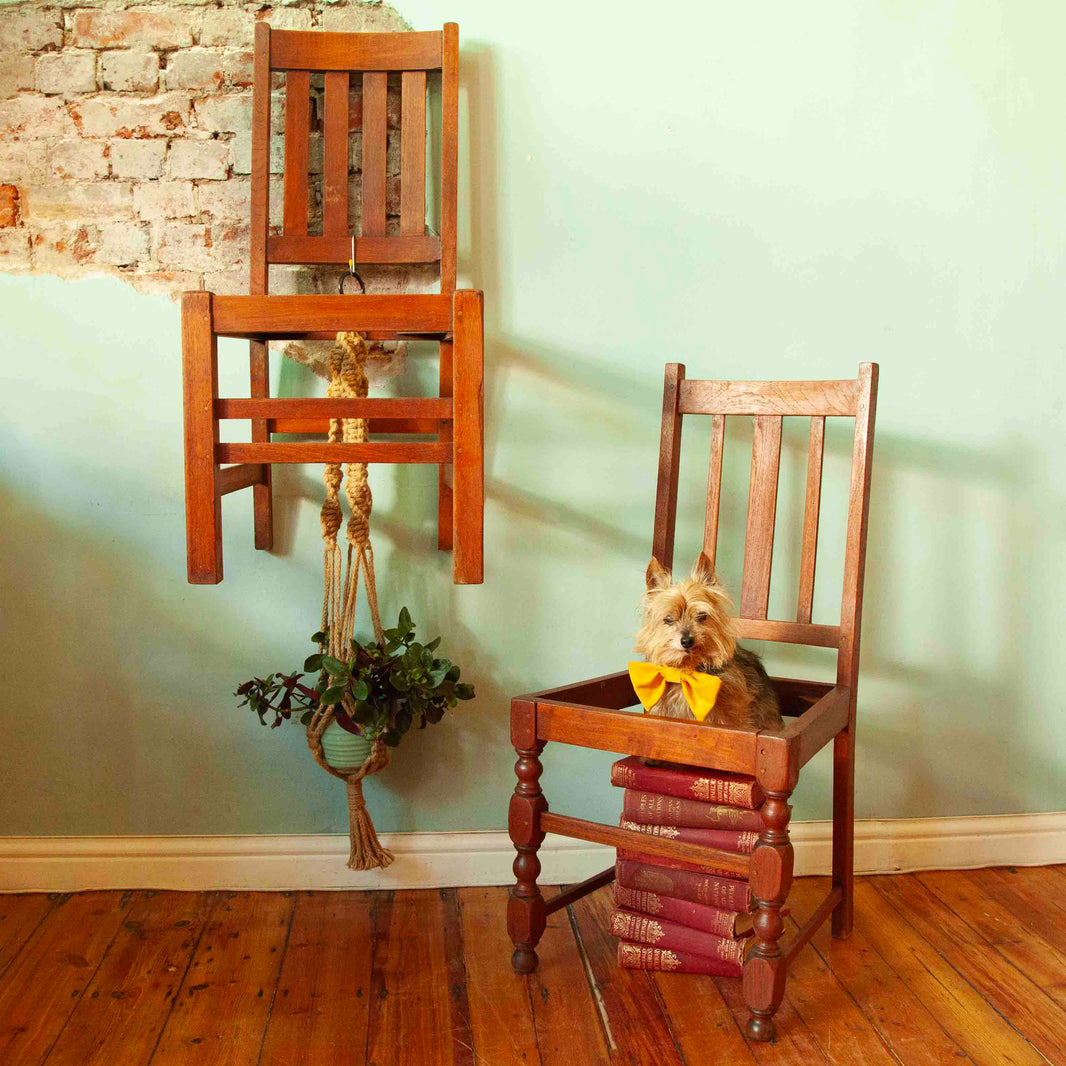 Teddy's Room